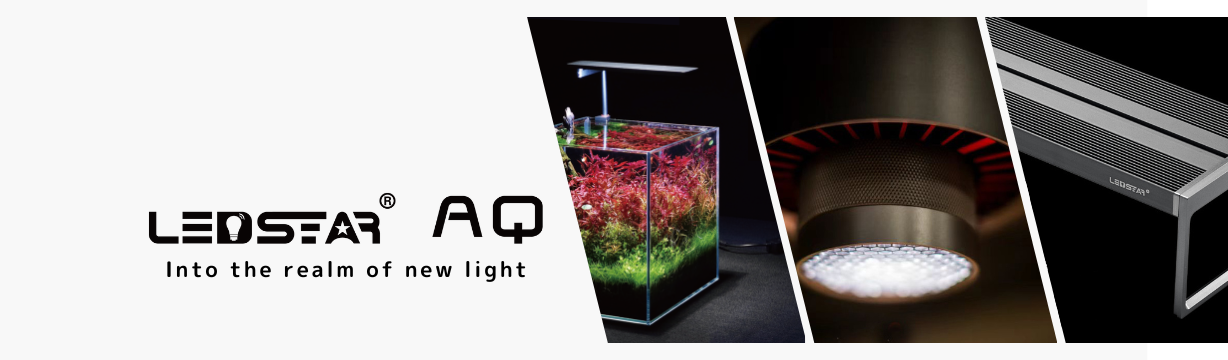 LEDSTAR公式ショップ｜水槽 アクアリウム＆パルダリウム用RGB LEDライトで美しく育成